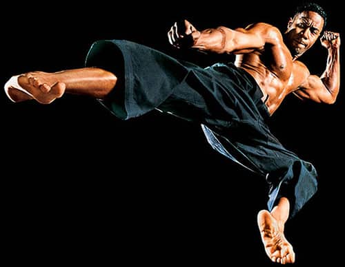 The Top 5 Martial Arts Actors in the U.S. Today The Top 5 Martial Arts Actors in the U.S. Today