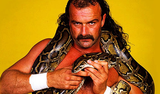Did You Know Jake "The Snake" Roberts Can't Stand Snakes?