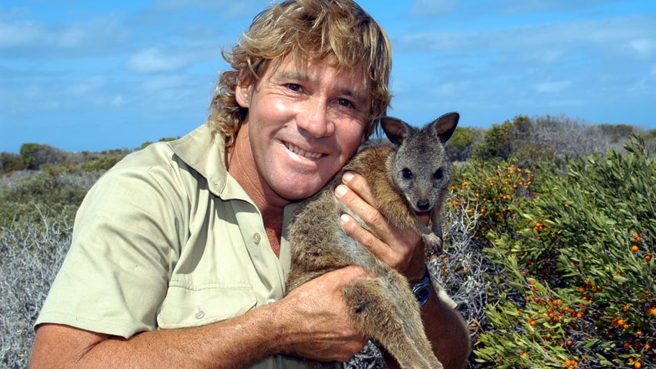 Watch Steve Irwin Stay Extremely Calm after Being Bit by a Snake on a ...