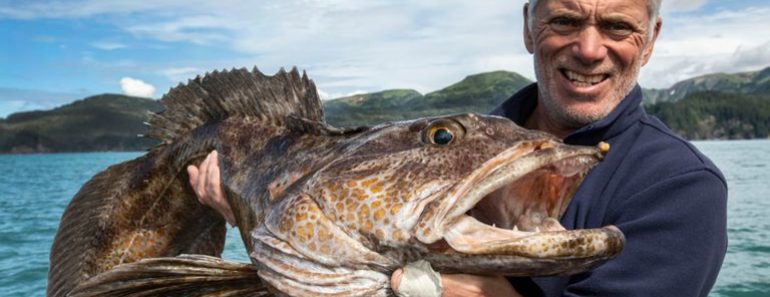 TV News, TV Spoilers, TV Recaps, TV Reviews - TV Overmind