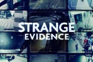 Meet the Cast of CBS's Love Island Season 1